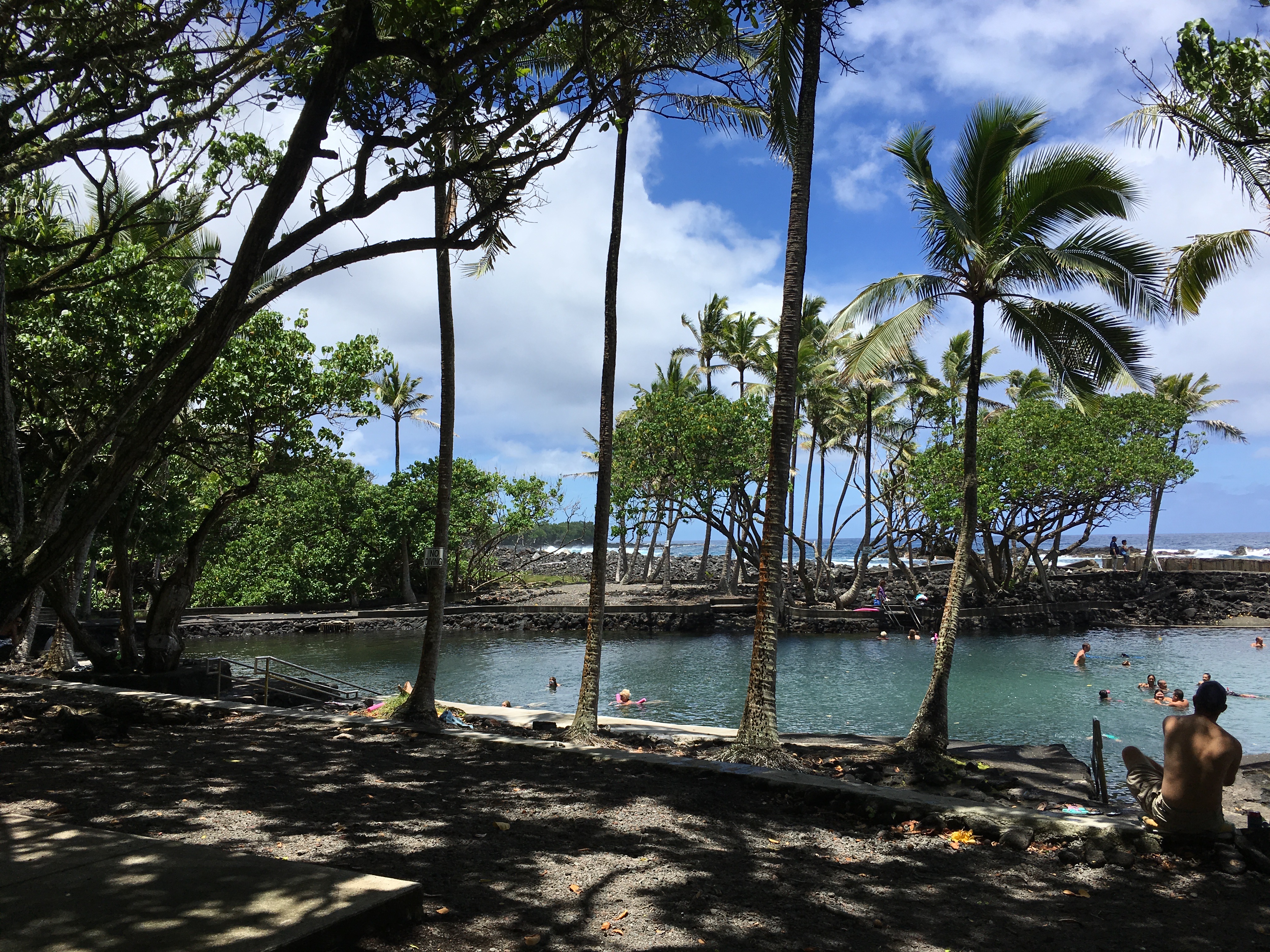 Mourning Ahalanui Warm Pond – The Guild of Ornamental Hermits